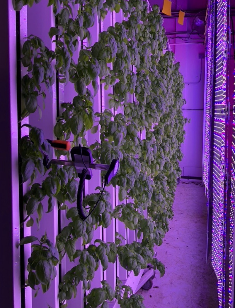 Indoor Farms – We Grow Food for People and Fodder for Animals